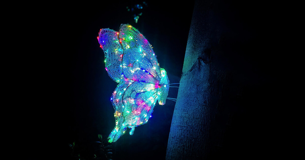 Age Innovation Prize | OST