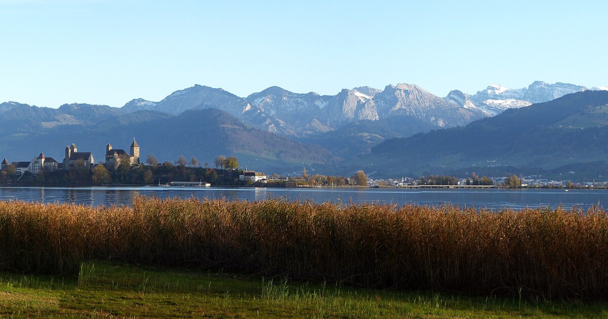 International Symposium on Renewable Metal Fuels – ReMeF 2025 (SPF ...